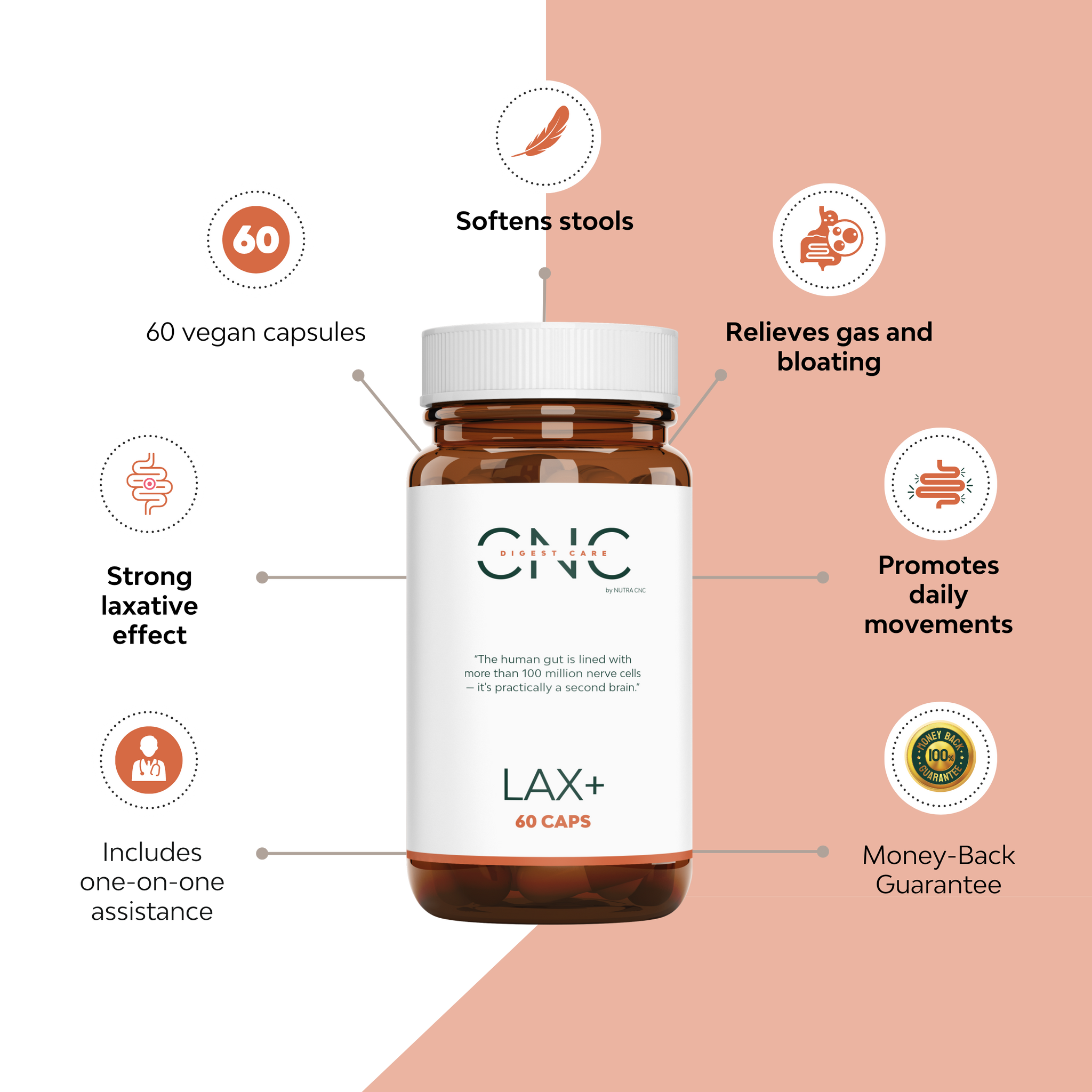 LAX+® 7-in-1 | Natural Laxative & Stool Softener – QSTA Labs